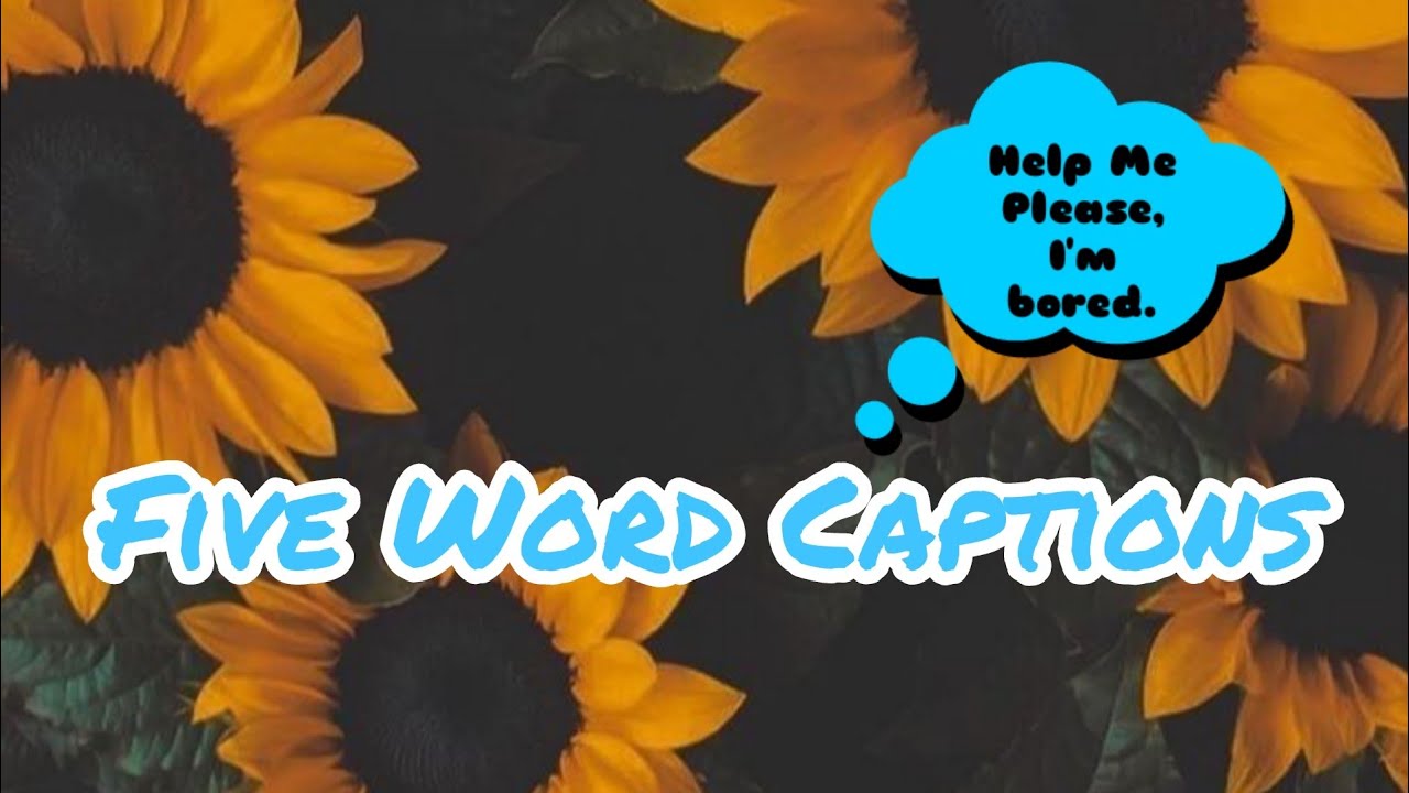 FIVE Word Captions // FIVE Word Instagram Captions // Short Captions