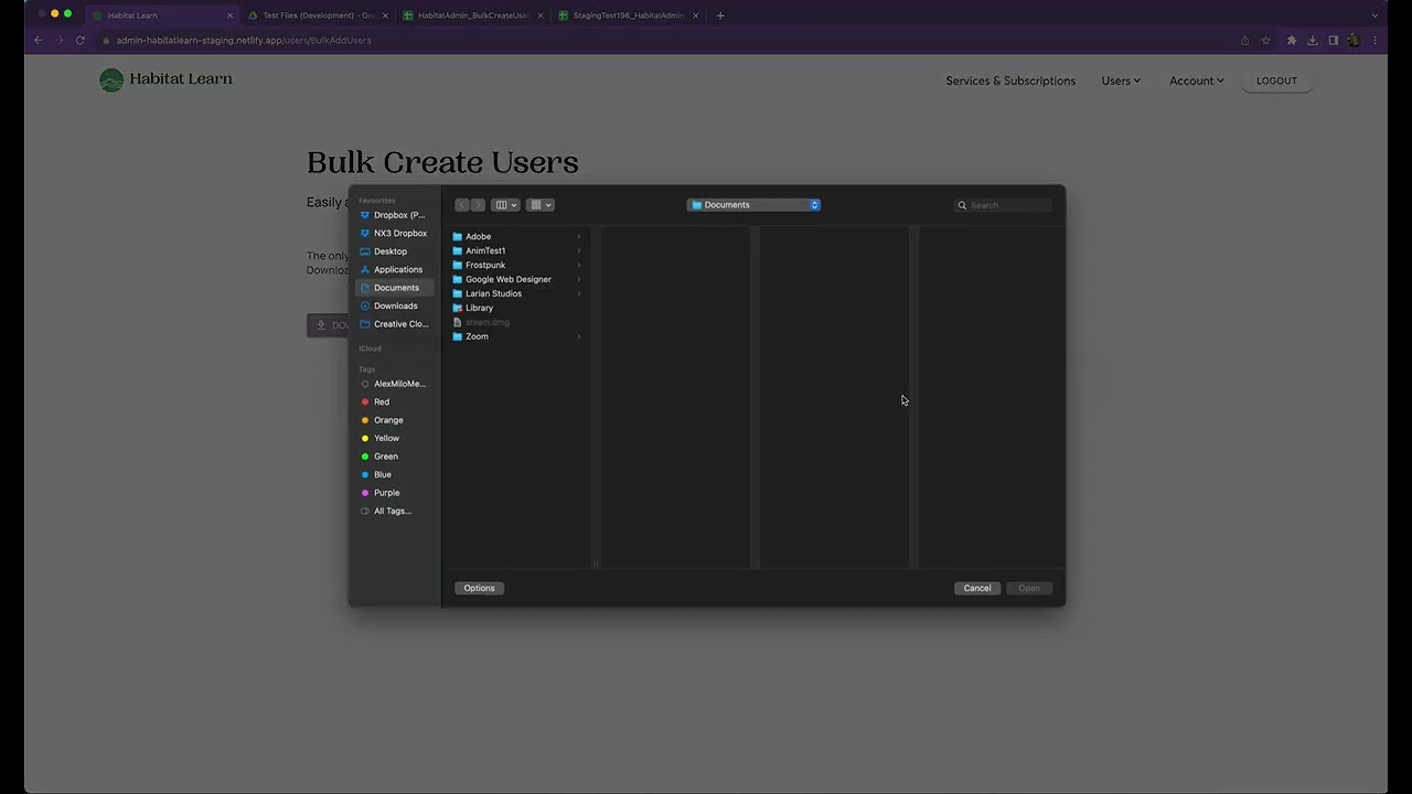 How to use the Bulk Create Users feature