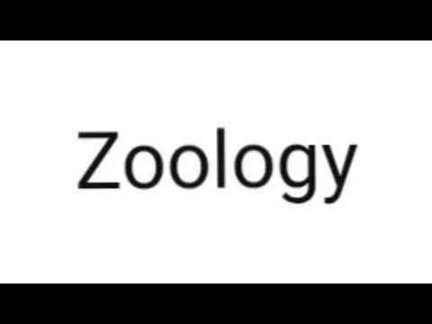 How to pronounce Zoology?