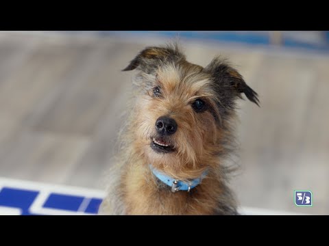 What does a Fifth Third Better® mean? | Fifth Third Bank