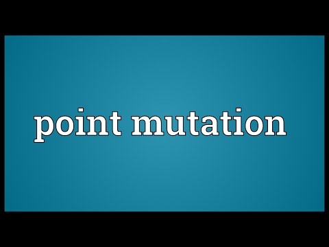 Point mutation Meaning