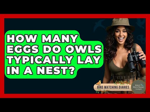 How Many Eggs Do Owls Typically Lay In A Nest? - Bird Watching Diaries