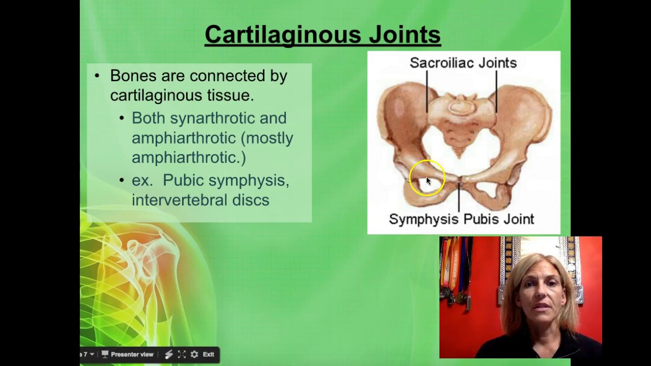 Joint Classifications