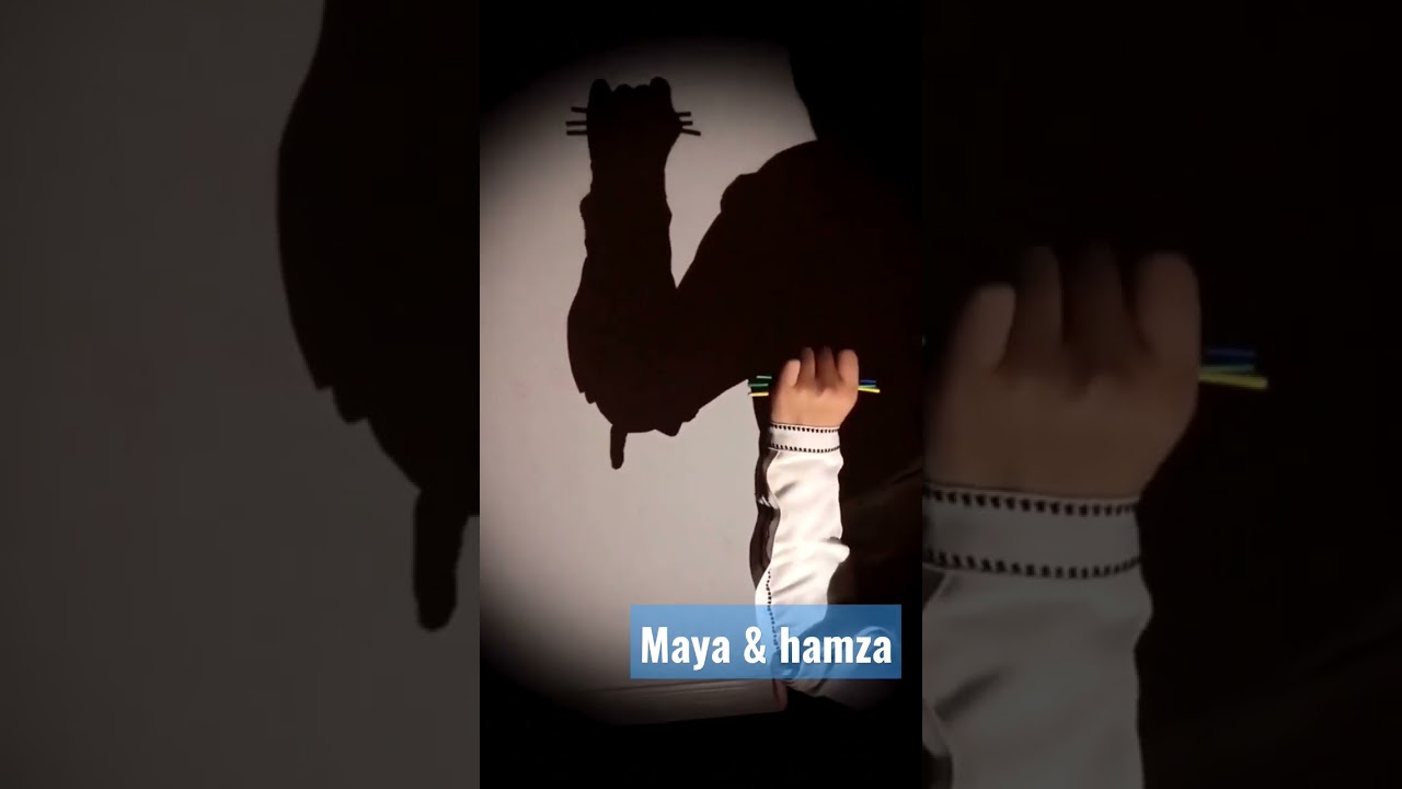 shadow activity for kids#shadow #activity