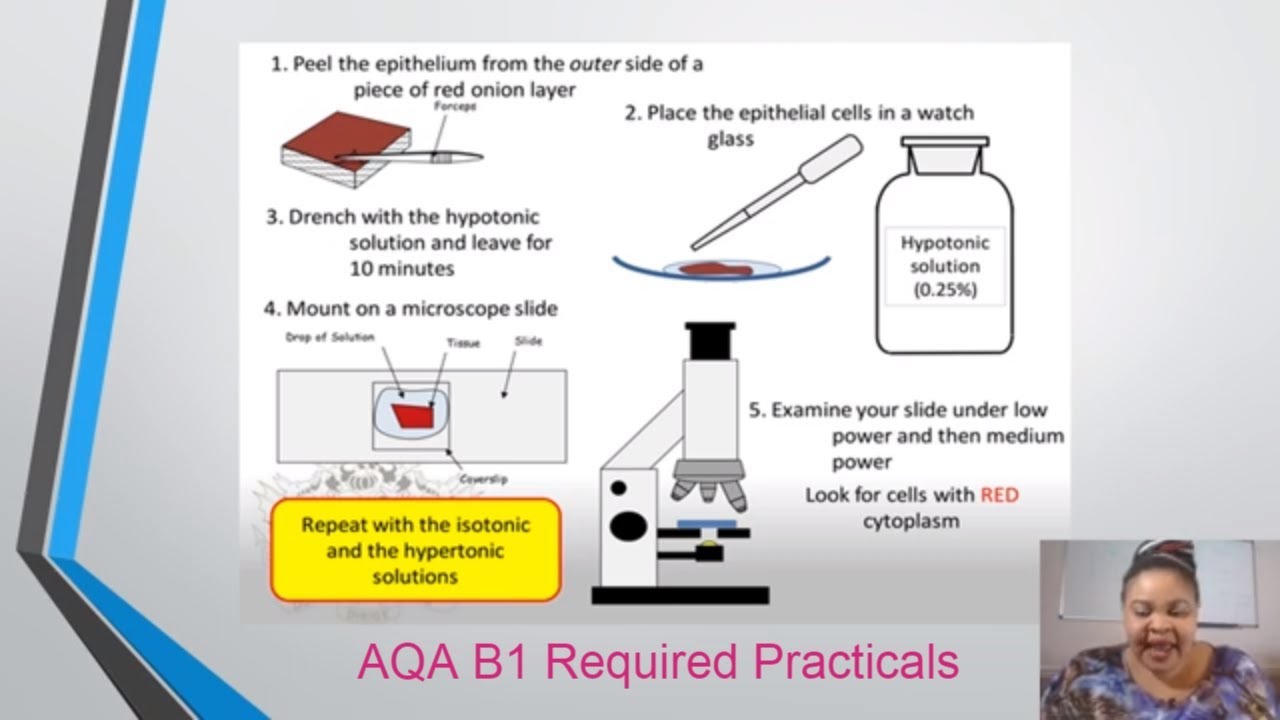 AQA B1 Required Practicals All/ GCSE 2019 Biology