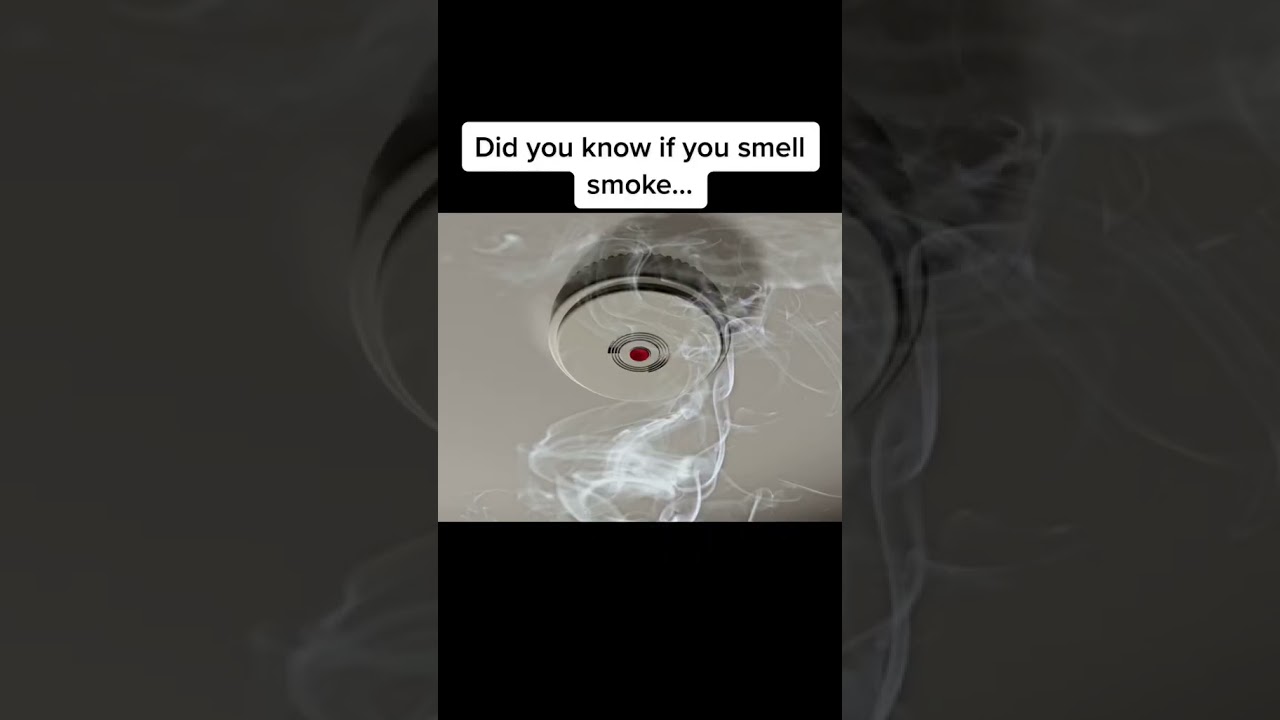 Scary facts😰 #shorts