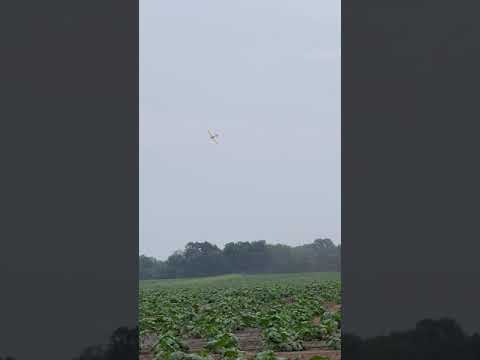 Watching Crop dusting in Vincennes, Indiana, view from road as plane circled; it was crazy to see!