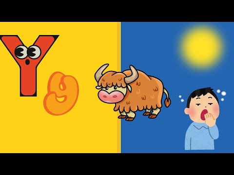 Alphabets Extravaganza | Words With Y | ABC | Little Learners Haven