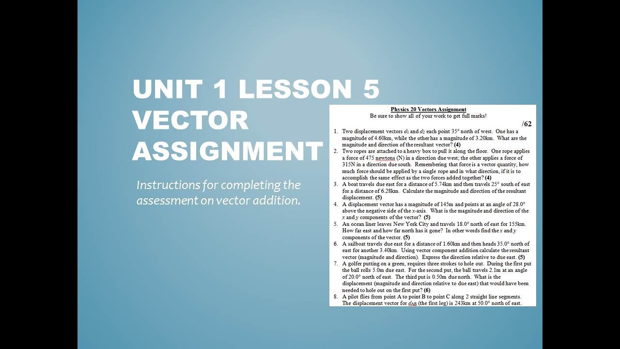 Vector Assignment