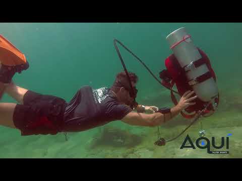 What is Neutral Buoyancy?