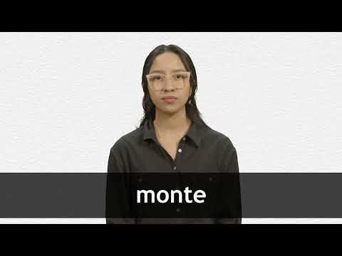 English Translation of “MONTE” | Collins Spanish-English Dictionary