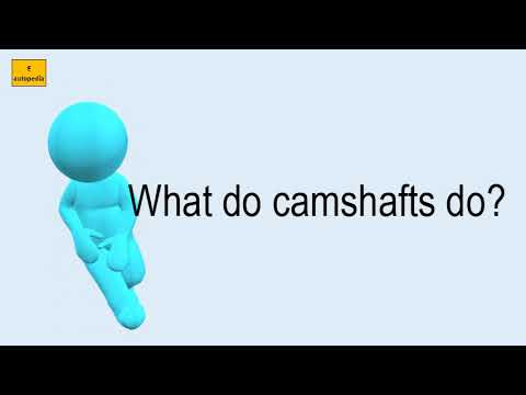 What Do Camshafts Do?