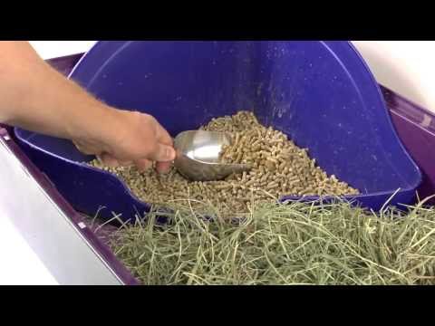 Eco-Straw Litter For Small Pets | ePETstore