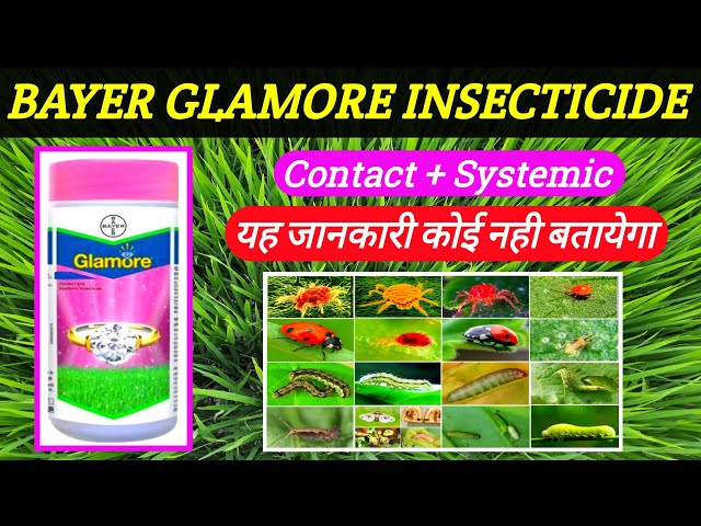 Agriculture Insecticide - Tata Tafgor Insecticide Wholesale Distributor ...