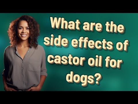 What are the side effects of castor oil for dogs?