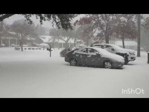 Snow Storm in Pensacola, FL