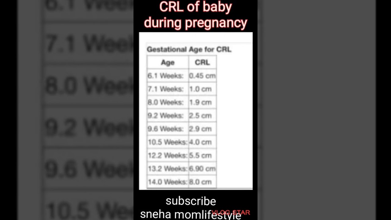 #shortsCRL of baby during pregnancy week by week#snehamomlifestyle