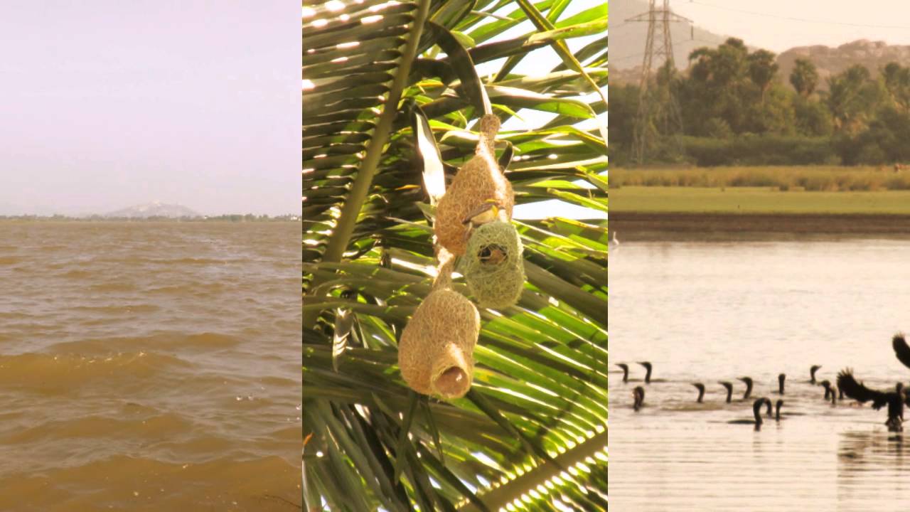 Devapandalam-village surfing(1)