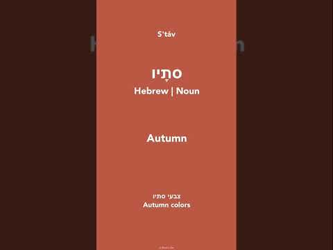 住转指讬讜 | Hebrew