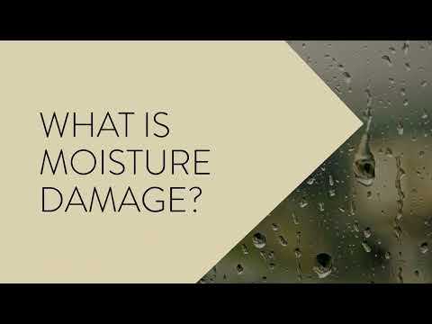 What is moisture damage?