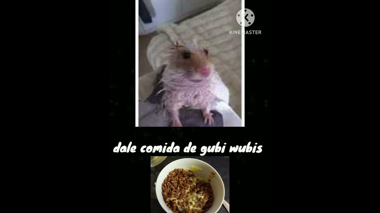 Guía de como evitar Gubi Wubis