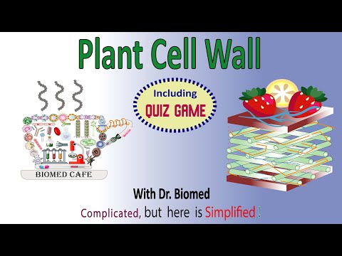 Plant Cell Wall : Structure, Components and Functions