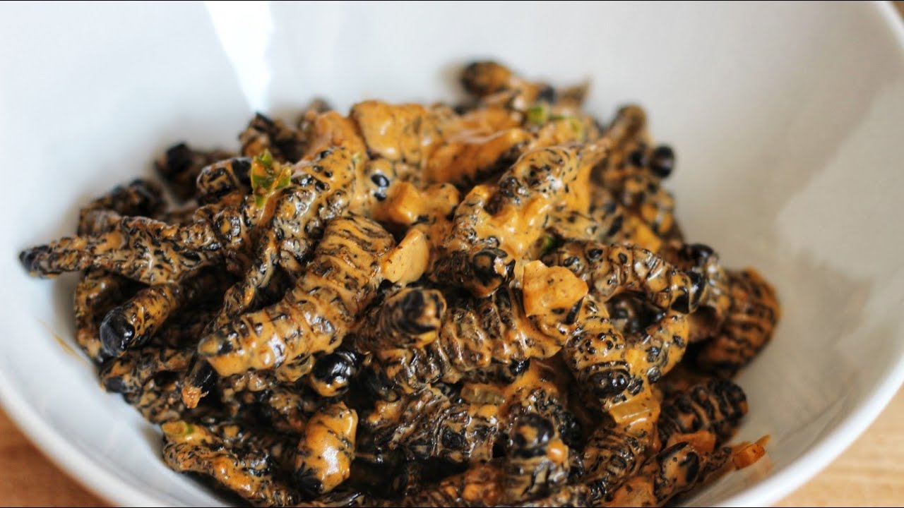Masonja / Mopani / Mopane Worm Recipes – The Best African Dried Moth ...