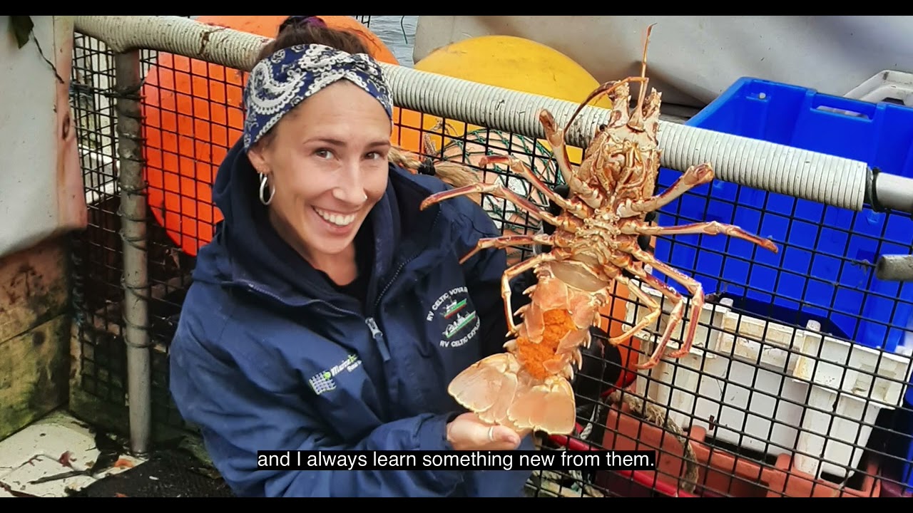 CIBBRiNA project: Bycatch observers in Ireland: Lessons learned