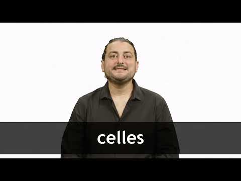 English Translation of “CELLES” | Collins French-English Dictionary