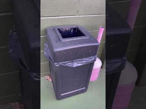 (Honest Review) Commercial Zone Waste Trash Container Bin