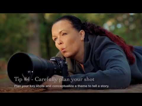 10 Dog Photography Tips and Tricks To Get Better Photographs of Your Dog, #5 is For Professionals!