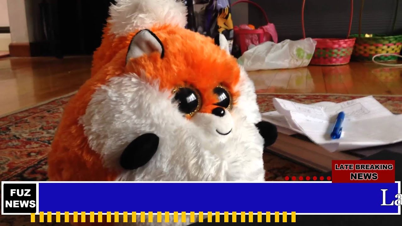 The FUZ News Station @ The Stuffed Animal Show