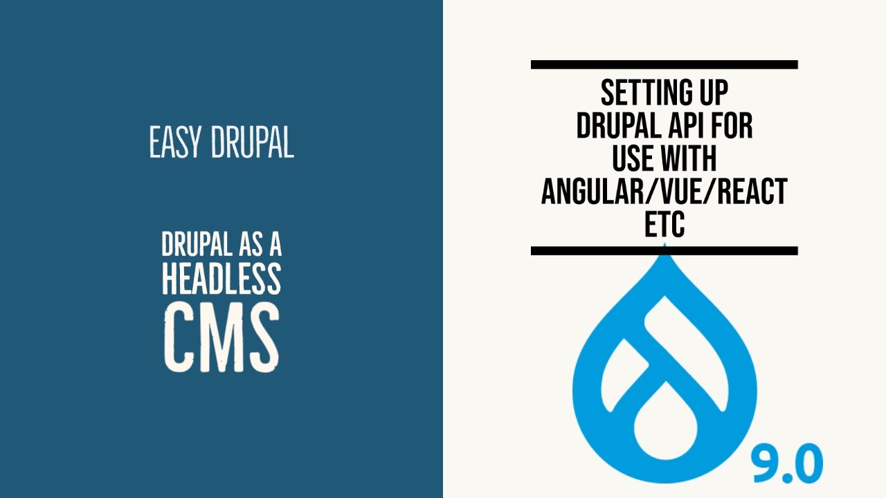How to setup Drupal as a Headless CMS for use with React / Angular / VUE