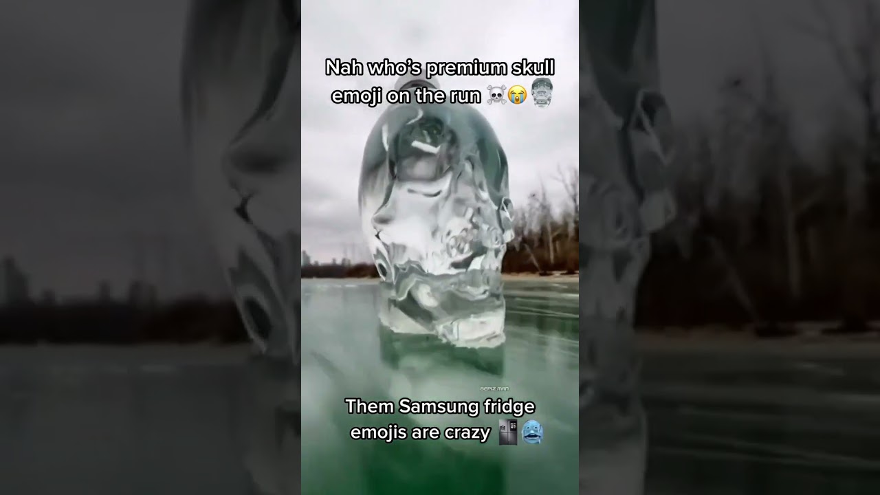 bro got samsung premium emoji pack