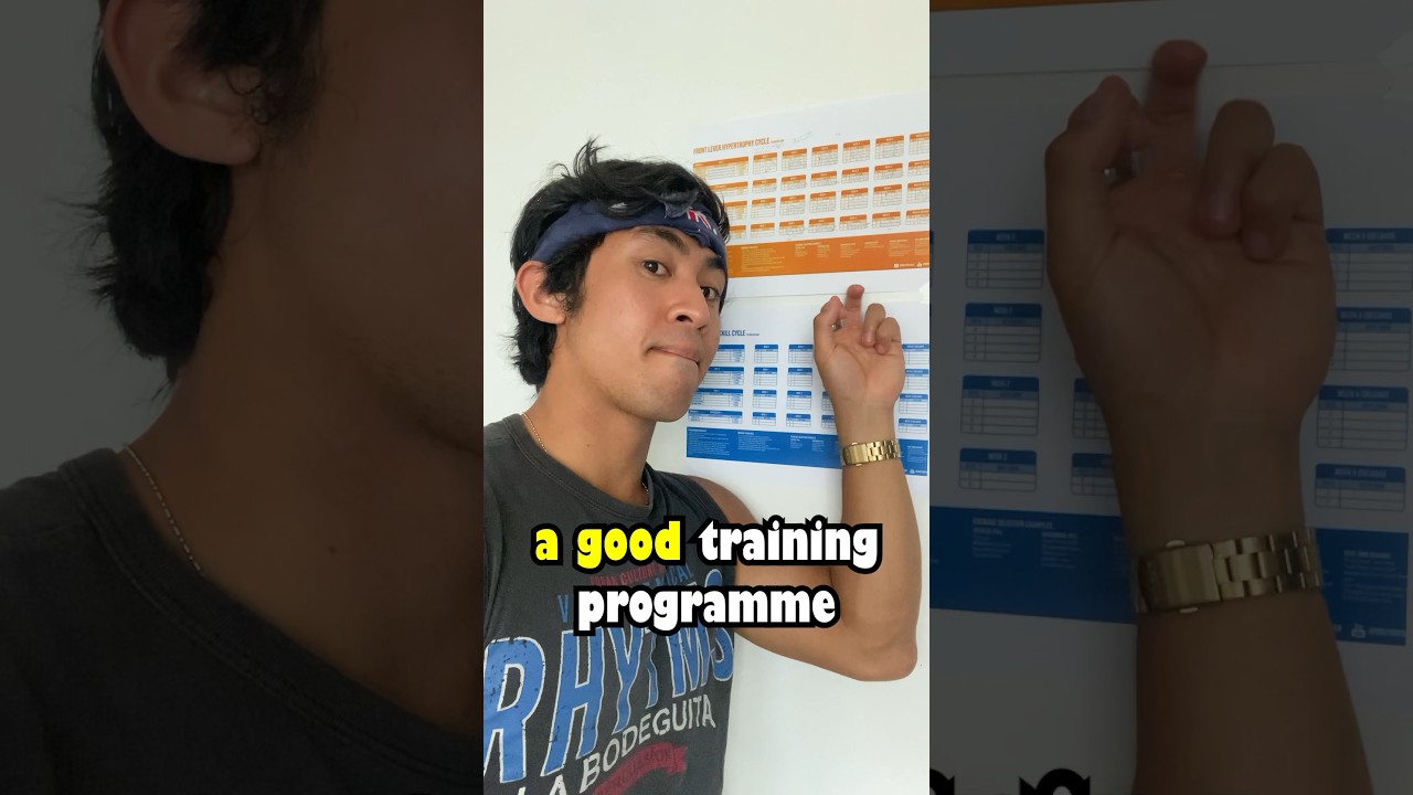 Training programmes (and how they are designed) #calisthenics #fitness #training #trainingprogram
