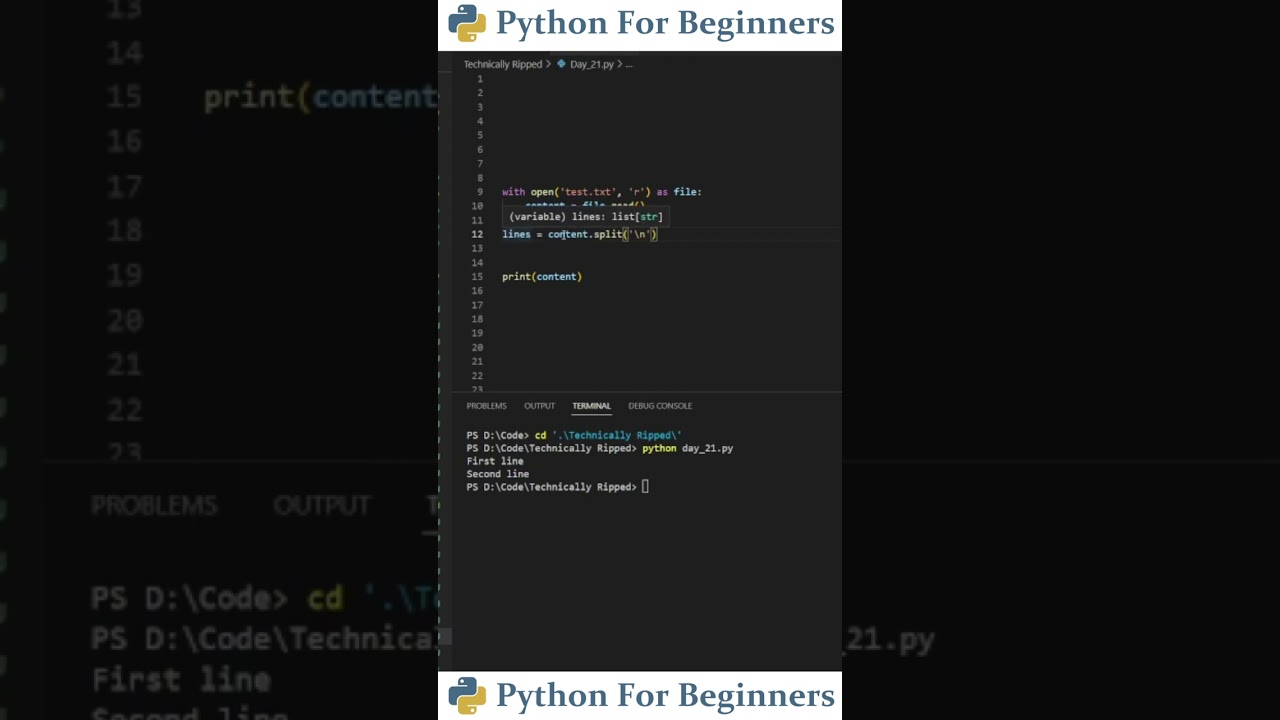 How To Read A Text File In Python | Python For Beginners