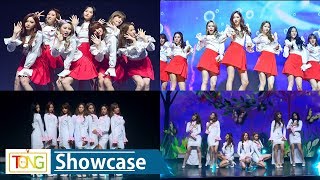 [쇼케이스170803] 씨엘씨 - 어디야?+SUMMER KISS - 인스티즈(instiz) 인티뮤직 (종료) 카테고리