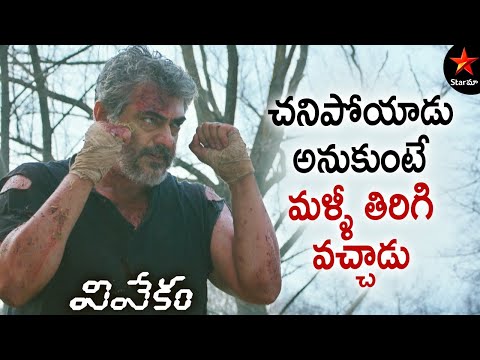 Ajith is Back Again! | Vivekam Full Movie Telugu | Ajith | Kajal Aggarwal | Star Maa