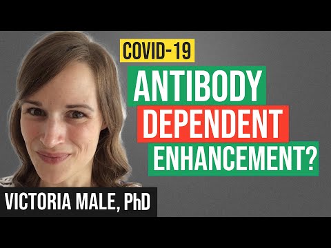 Antibody Dependent Enhancement: What Is It? Does it Occur With COVID 19 Vaccines?