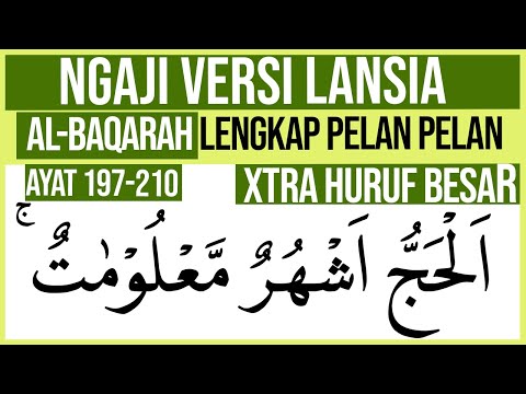 KHUSUS LANSIA BELAJAR NGAJI SURAH AL BAQARAH AYAT 197-210 HURUF EXTRA BESAR DAN PELAN PELAN