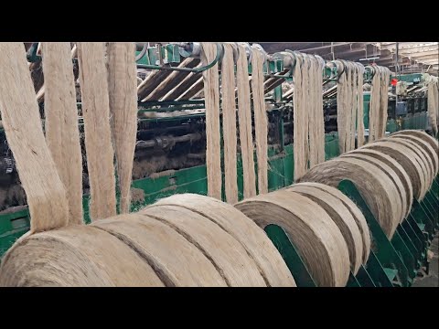 Jute Bags Manufacturing Complete Process | Jute Industry in India |Jute Cultivation of India
