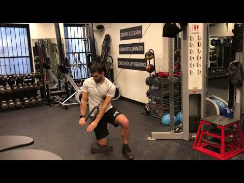 Ab Workouts Gym | Cable Exercises