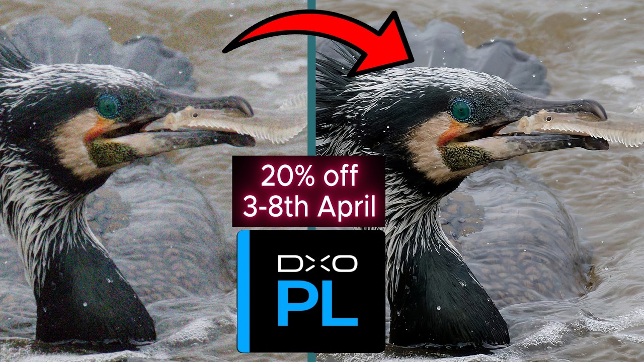 DxO PhotoLab 9 20% OFF 3-8th April – My Real Bird Photo Results (Before & After)