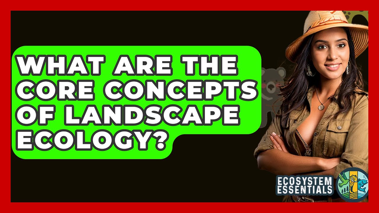 What Are the Core Concepts of Landscape Ecology? - Ecosystem Essentials