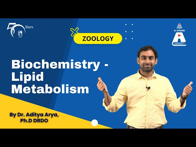 Understanding Lipid Metabolism: The Biochemistry Behind Fat Breakdown ...