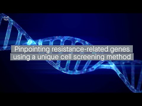 Understanding drug resistance in melanoma using a unique cell screening approach
