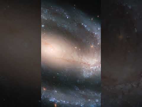 Big, Beautiful, Barred Spiral Galaxy NGC 1300 #shorts