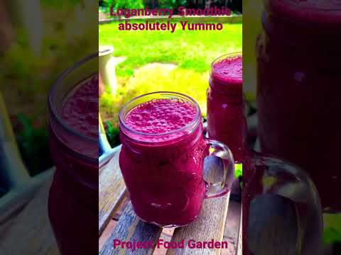 Loganberry Smoothie 😍😍😍-SE3-Project Food Garden