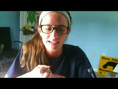 ACRES Testimonial - Resources and Technology